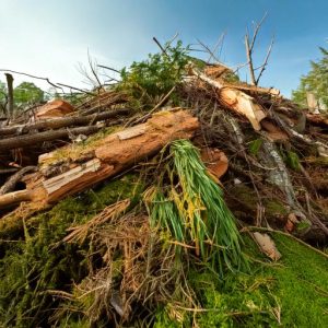 Green Waste Skip Bin Hire - Flehan Skips
